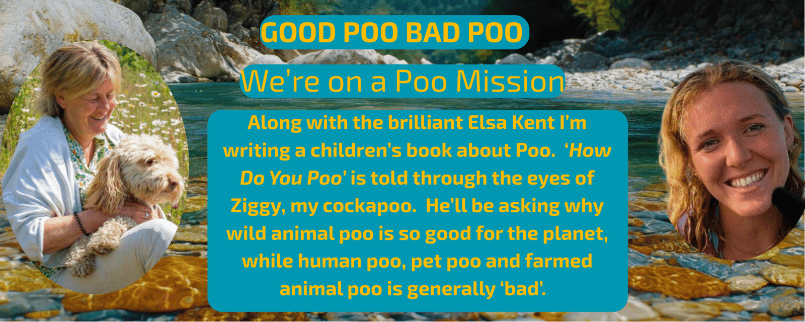 Good Poo, Bad Poo - juliahailes.com